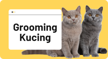 Toko Kelinci Bakpao Rabbit - Rabbit Petshop & Grooming Center