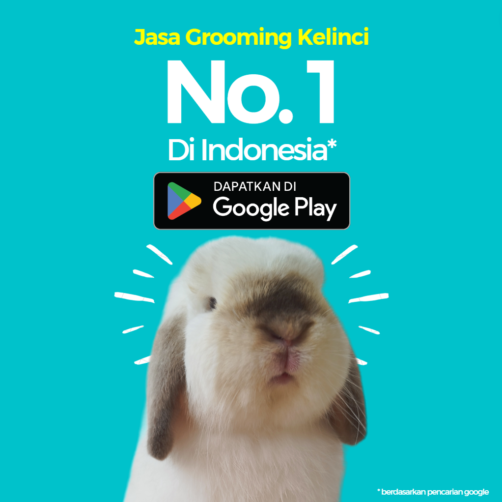 Toko Kelinci Bakpao Rabbit - Rabbit Petshop & Grooming Center